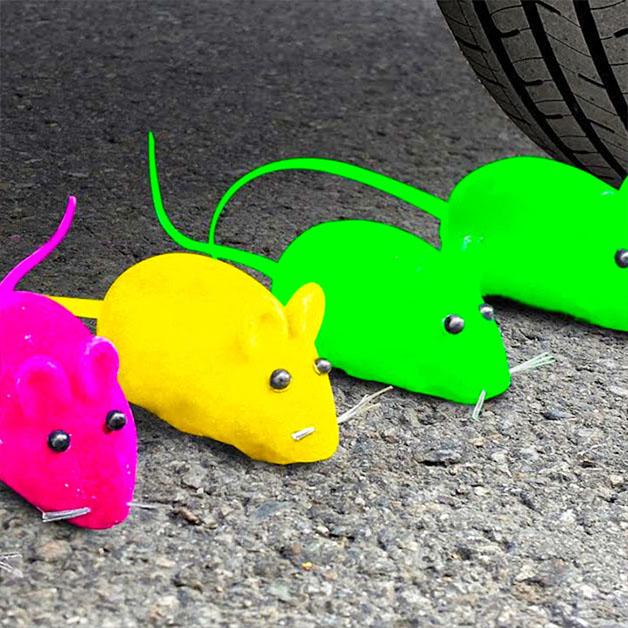 Cartoon Animals Body Matching